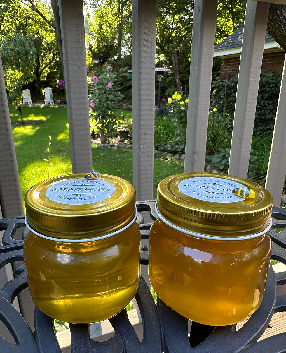 Two glass jars - 1 Pound each #badasshoney | #badass_bees