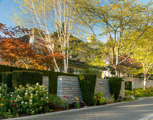 Landscape Renovations | Meridian Landscaping