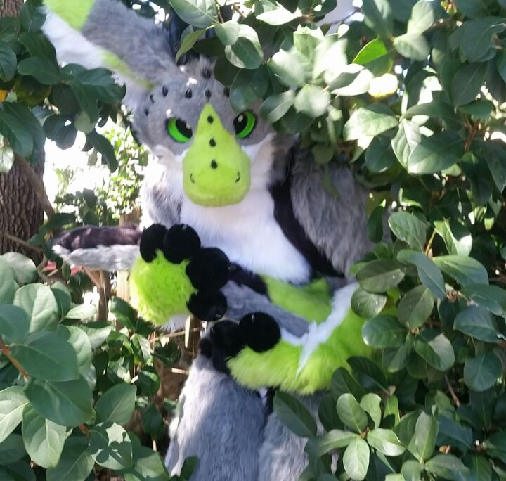 GALLERY | Star Fursuits