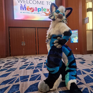 GALLERY | Star Fursuits