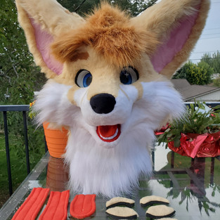 GALLERY | Star Fursuits