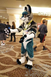 GALLERY | Star Fursuits