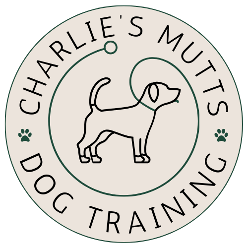 Charlie’s Mutts | Dog training