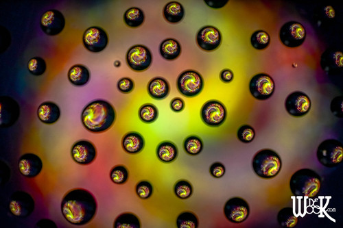 Fireball Dots (11"x17" Paper) | DeWook Photography