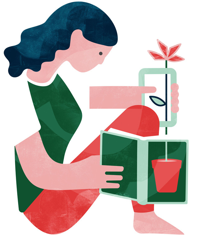 Campaigns | Andrea Ebert