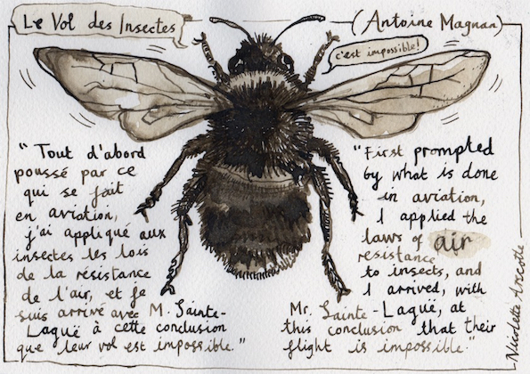 Nicky Arscott | Artist