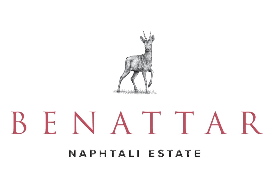 עמוד הבית | Benattar Winery