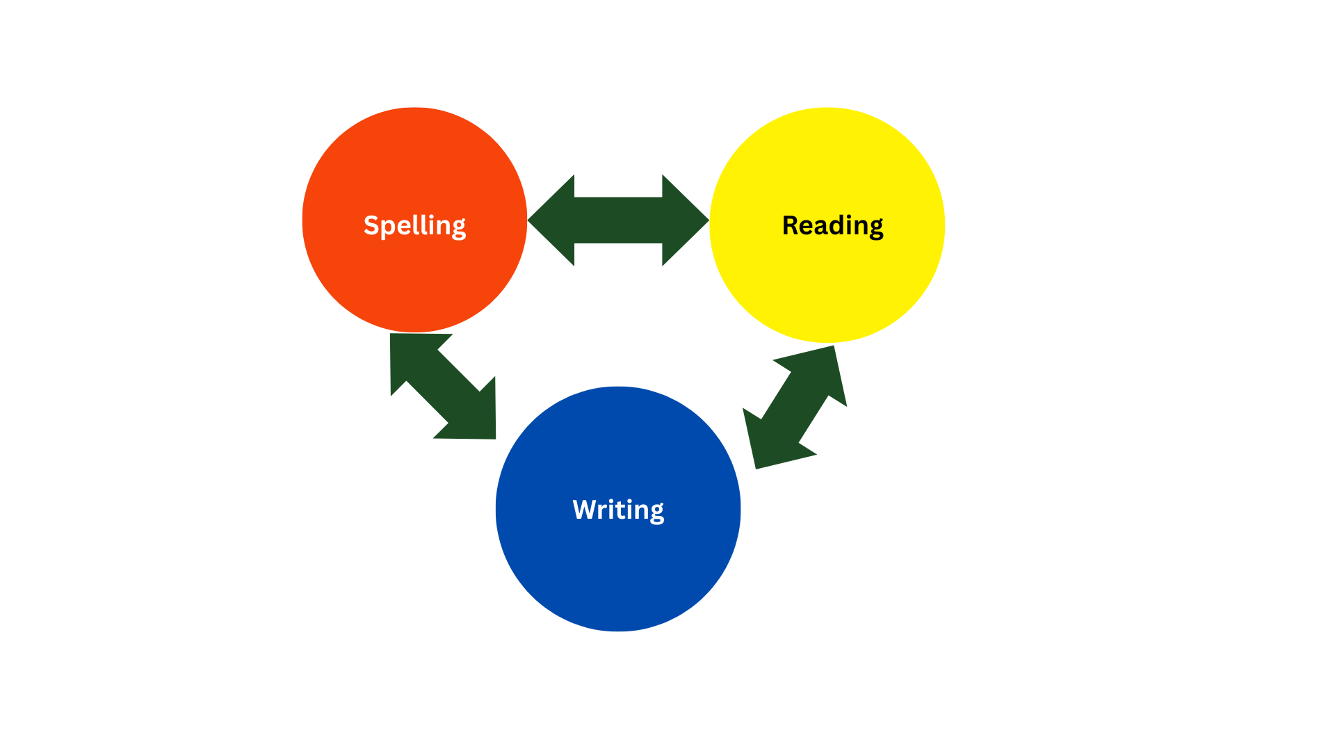 The writing-reading-spelling connection