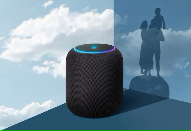 Smart Speakers and Privacy Issues: What People Need to Know