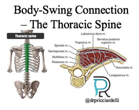 Golf Body-Swing Connection 4/8 - The Thoracic Spine
