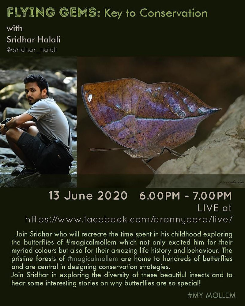 Flying Gems: Key to Conservation