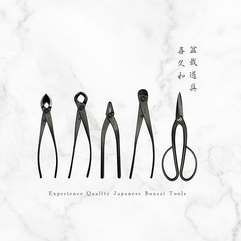 Bonsai-En : Your Home Of Bonsai