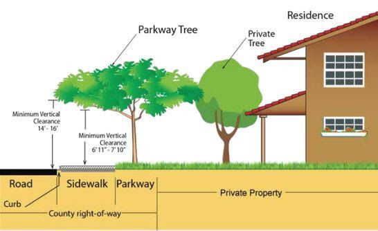 Free Parkway Trees During Earth Month