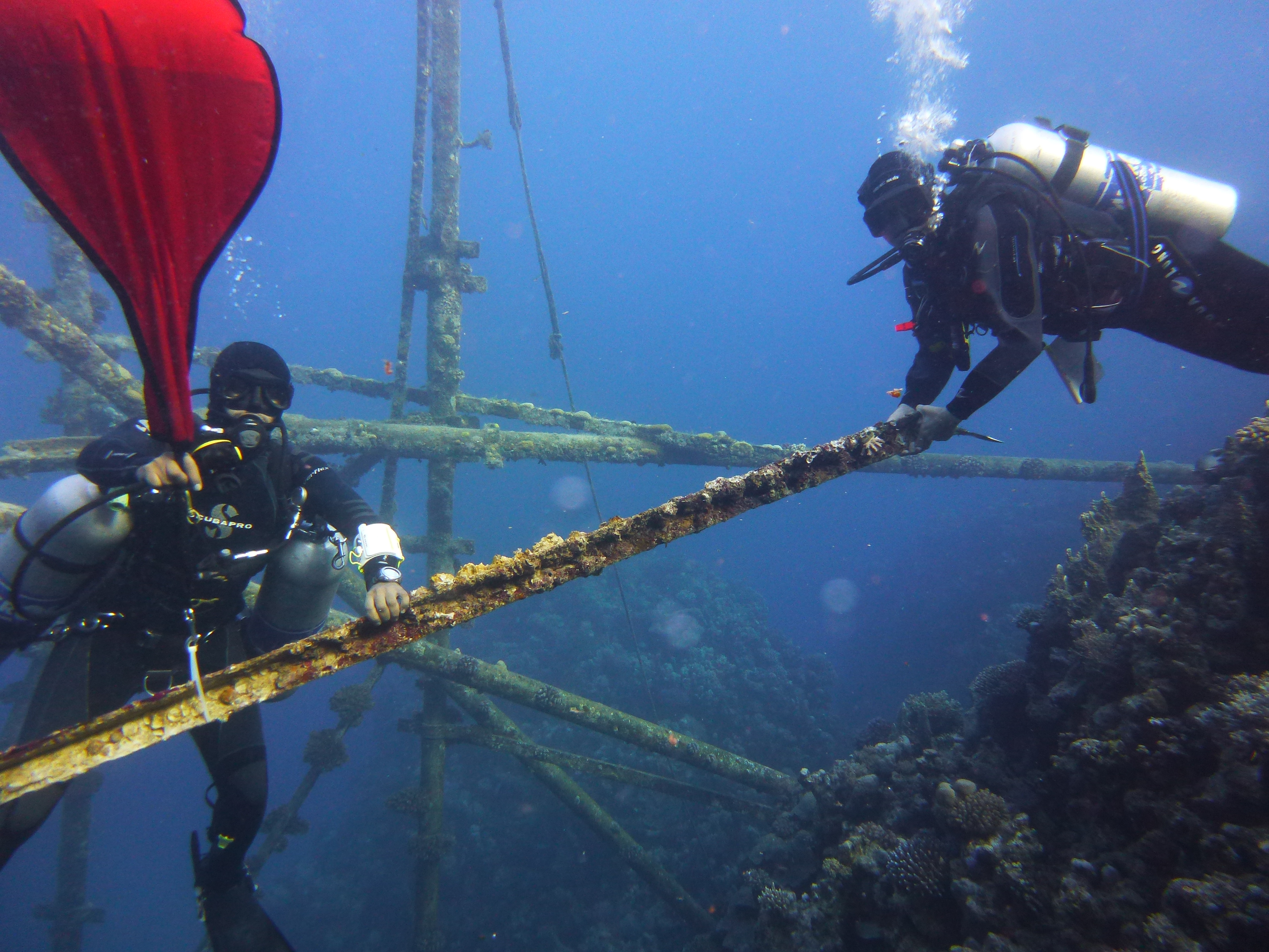 EDUCATION | Red Sea Marine Debris Project