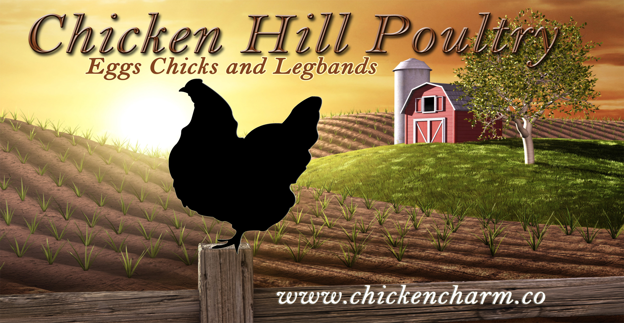 Chicken Hill * Chicken Charm Poultry Leg Bands