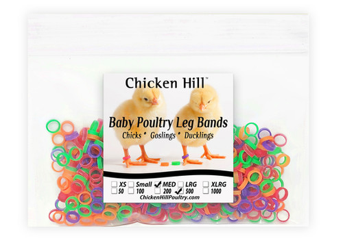 200 and 500 Per Pack Mixed Color Baby Poultry Leg Bands | chicken-hill