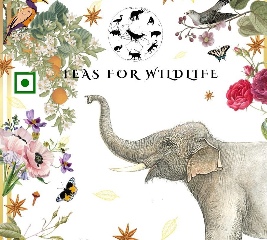 Indian Masala Chai | Teasforwildlife - Support Wildlife Conservation