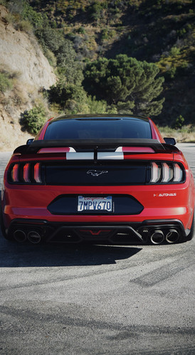 2020 GT500 Style Rear Valance (15-23 All) | i-5autohaus