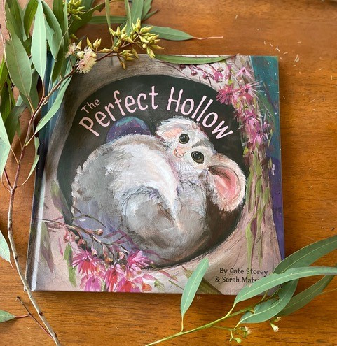 The Perfect Hollow Kids Book | Eco Australiana