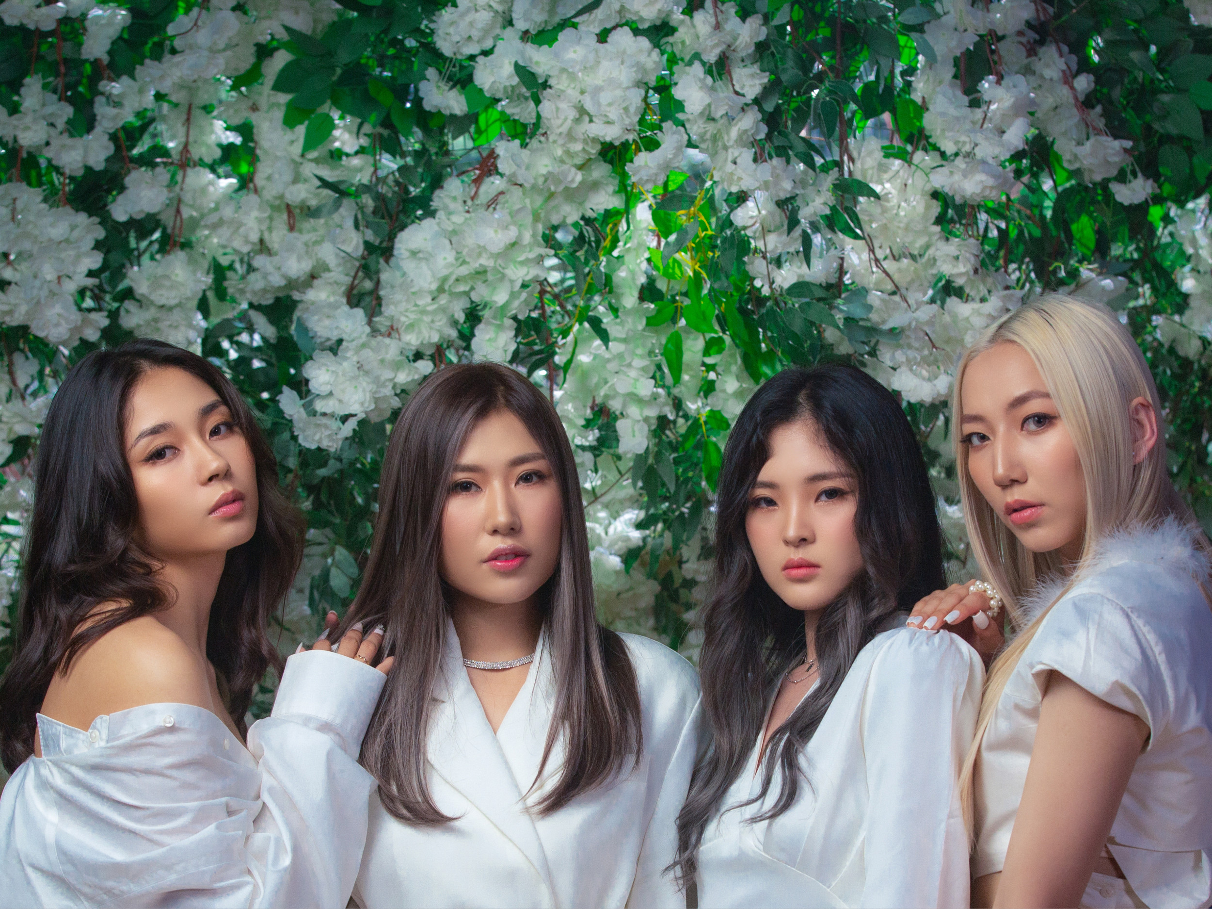 The Wasabies | Mongolia