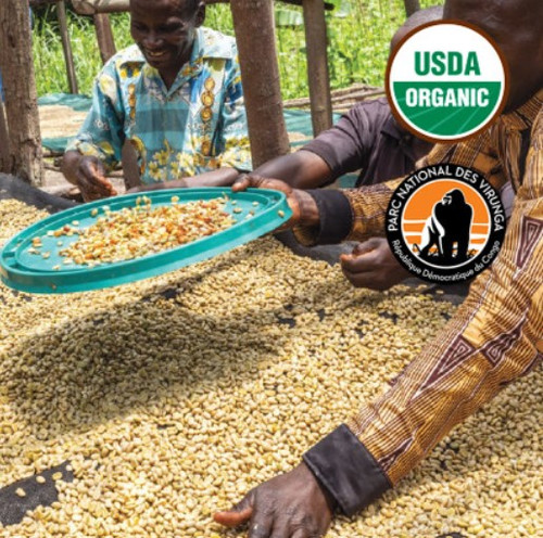 DR CONGO ORGANIC KIVU VIRUNGA BLEND | Wild Dove Coffee Co.