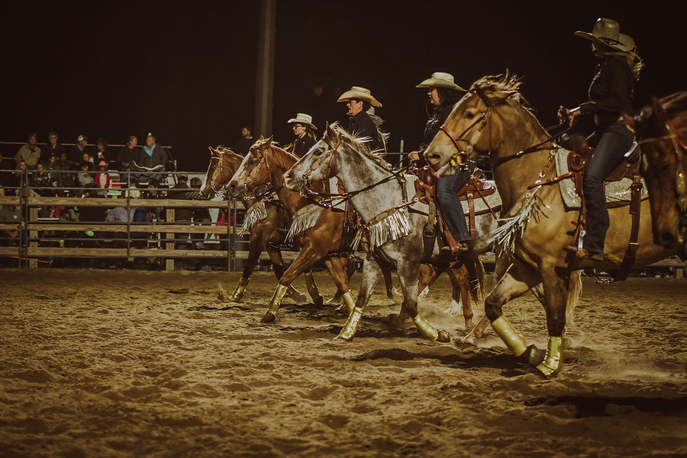 Tara Creek Up Coming Events