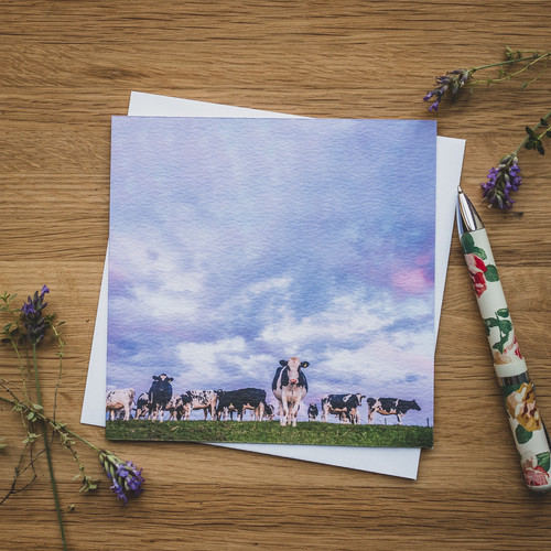 Rachel Foster Greeting Card 'Beneath Sunset Skies' | The Keeper's Wife