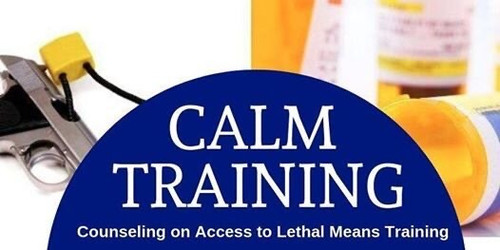 Counseling on Access to Lethal Means (CALM) | Wendell Fields