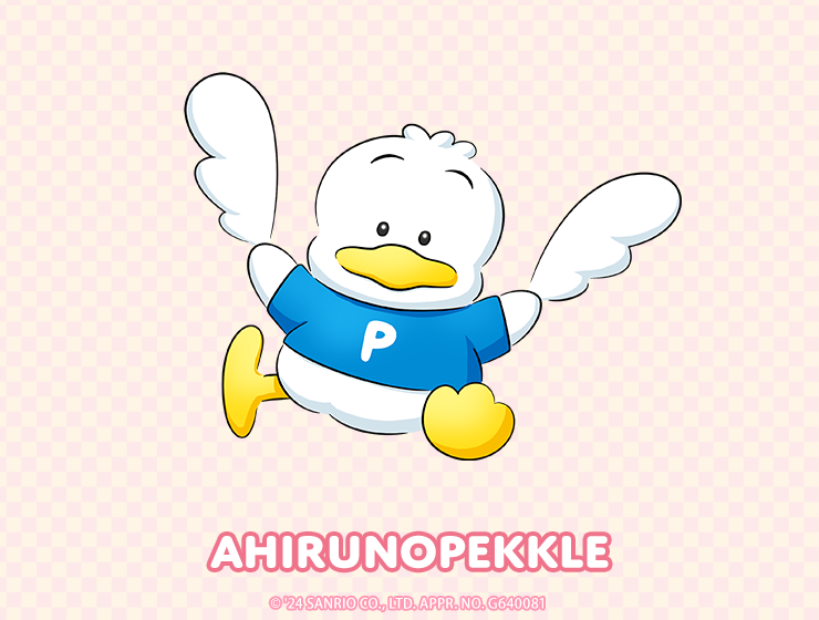 SANRIO CHARACTERS Collab Artwork