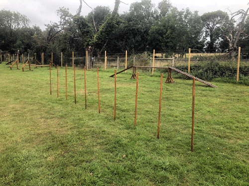 Pett Farm Pooch Paddock | Enclosed Dog Walking