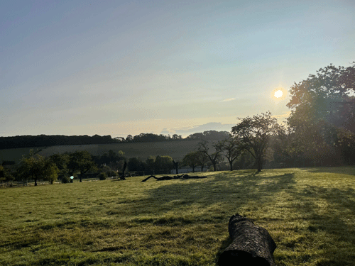 Pett Farm Pooch Paddock | Enclosed Dog Walking
