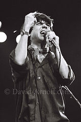 Members | shotinthedark