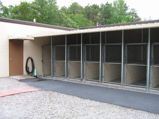 DOGS, CATS, AND SO MUCH MORE | barnwelloakskennels