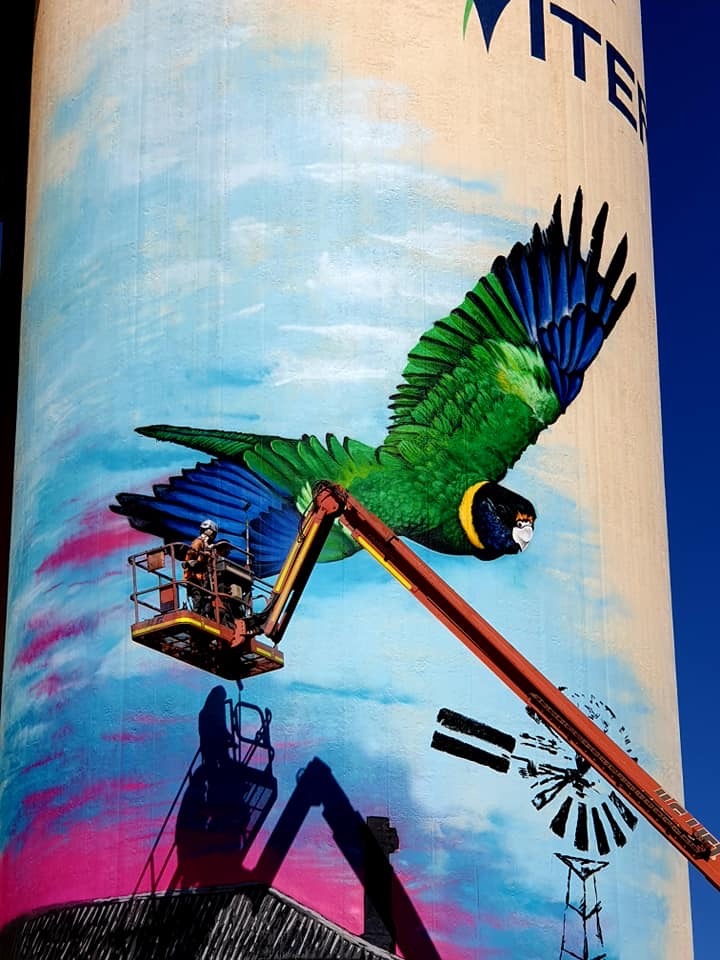 NITSUA | Street artist, mural creator and graphic designer