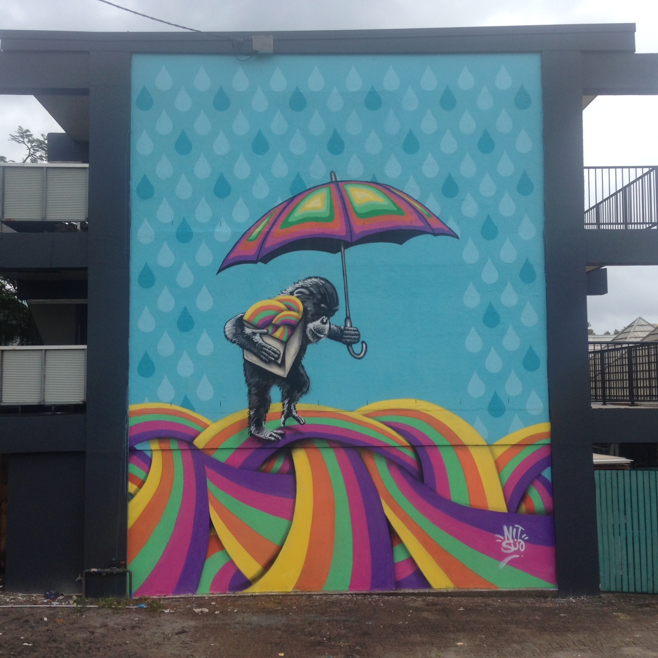 NITSUA | Street artist, mural creator and graphic designer