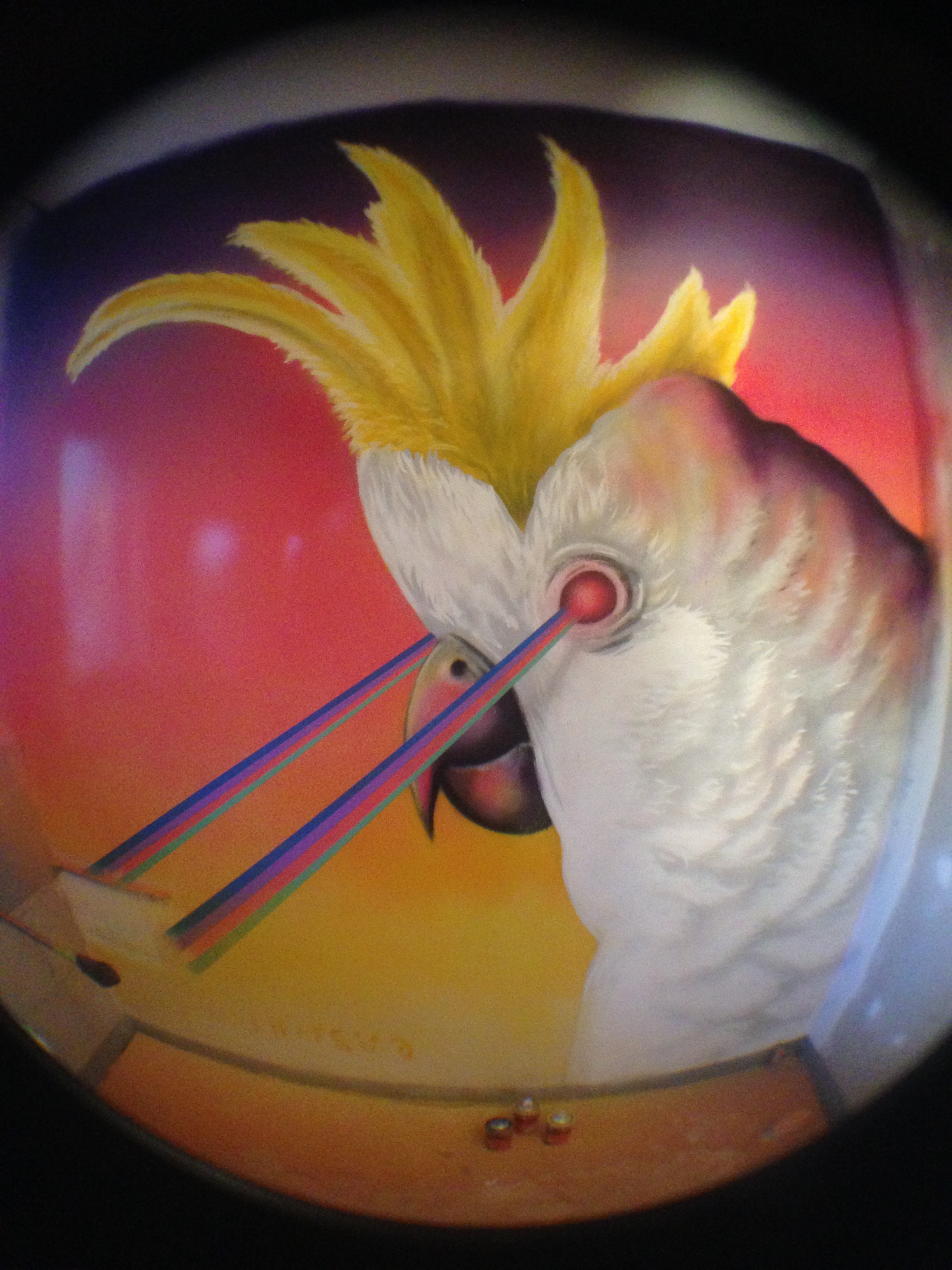 NITSUA | Street artist, mural creator and graphic designer