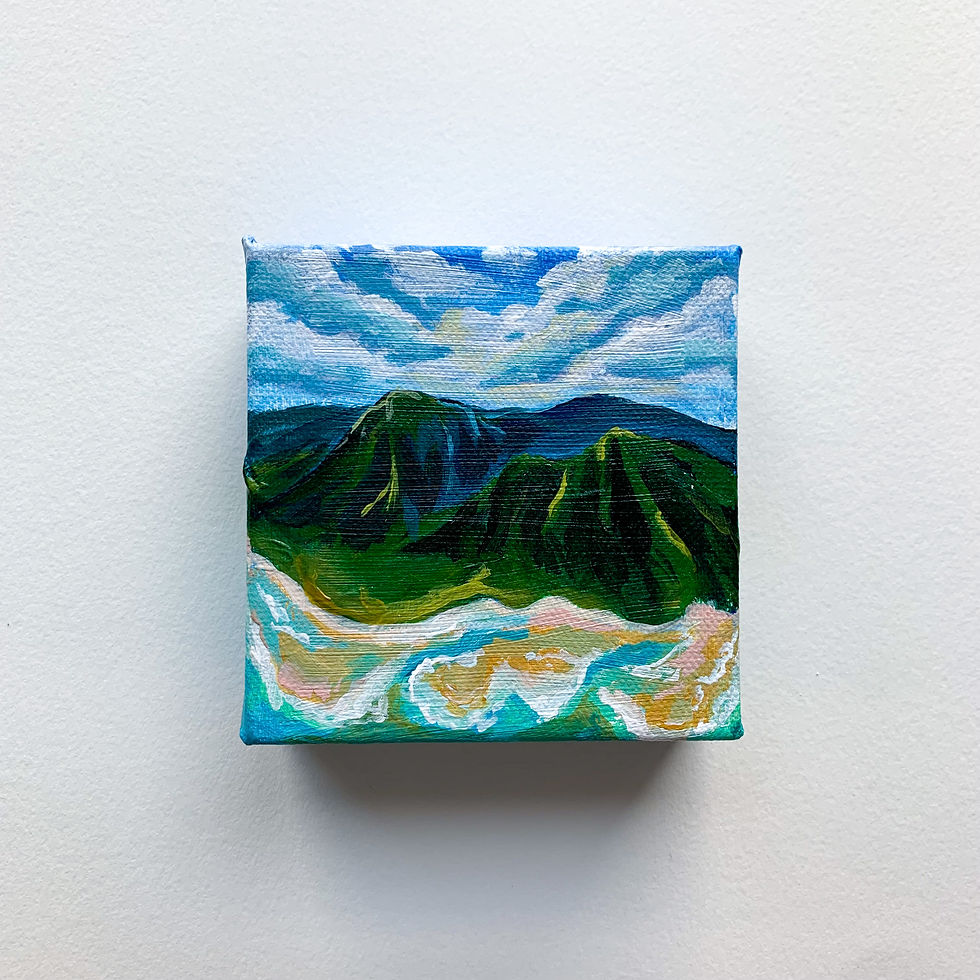 Shop | Amber Henderson Art