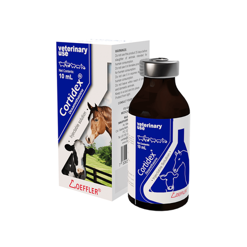 Cortidex®_ | Innopharma