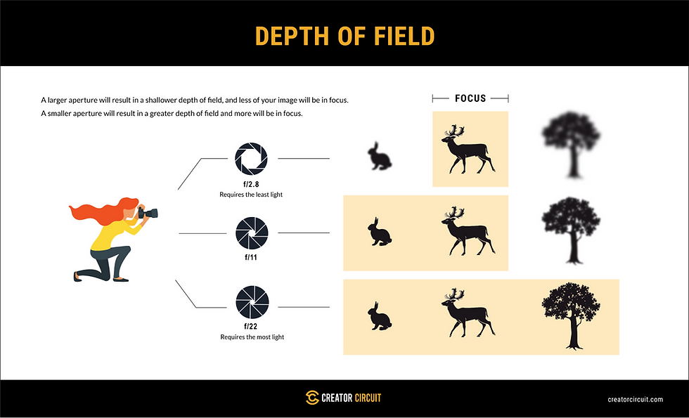 Mastering Depth of Field in Photography | Creator Circuit