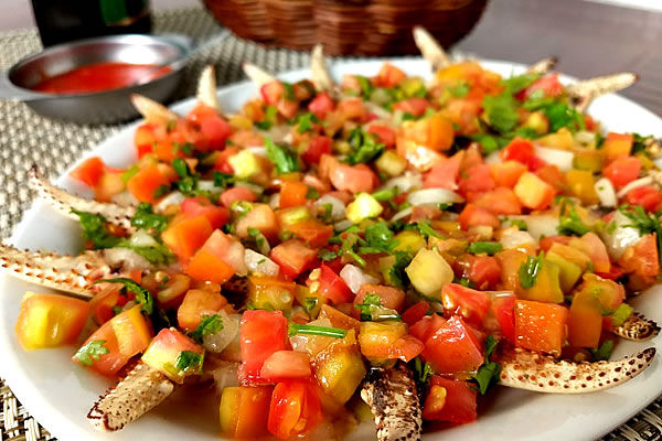 Don Papito: a melhor lambreta de Salvador