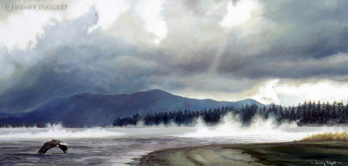 'Storm Rising' - Bald Eagle | lindseyfoggett