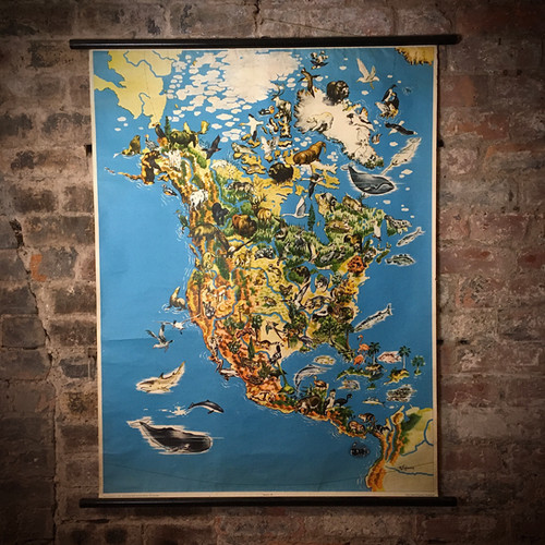 Large Georg Westermann Vintage map. North America.SOLD | Mysite