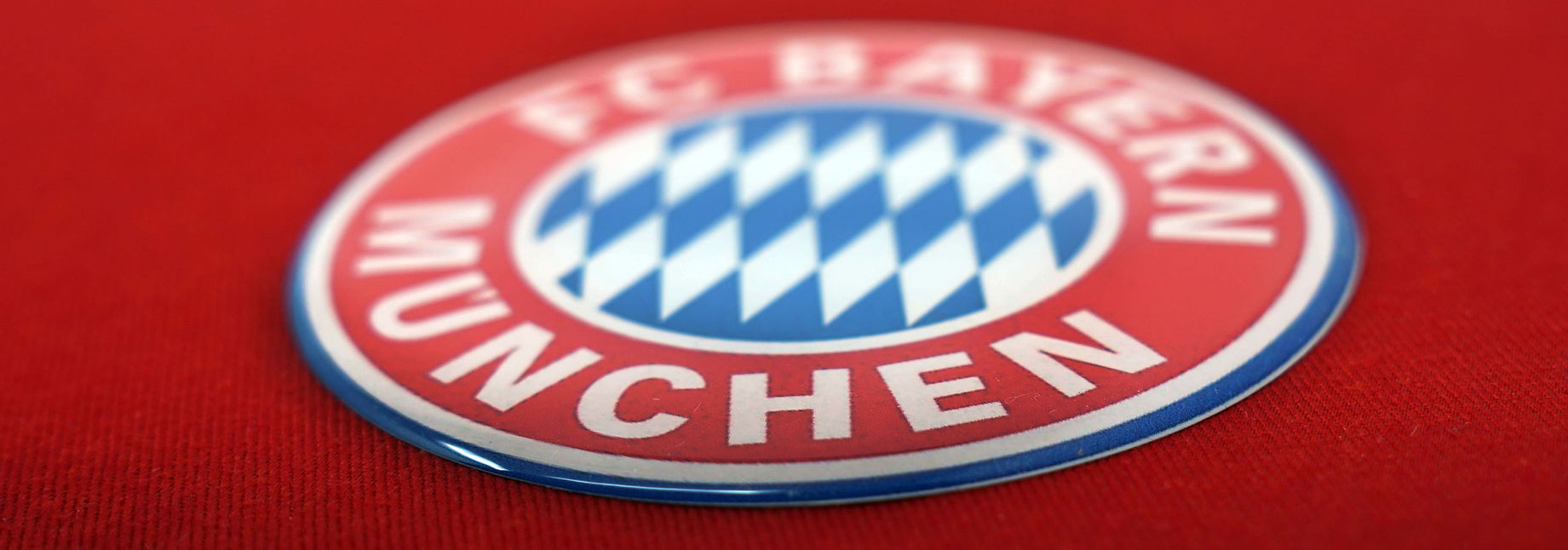 LOGO DOME | Logo Flex USA