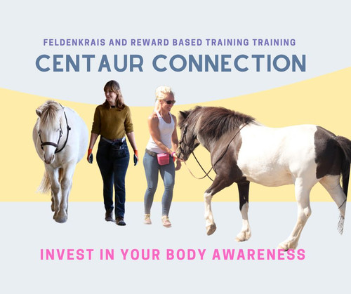Centaur Connection | Reward Based Riding