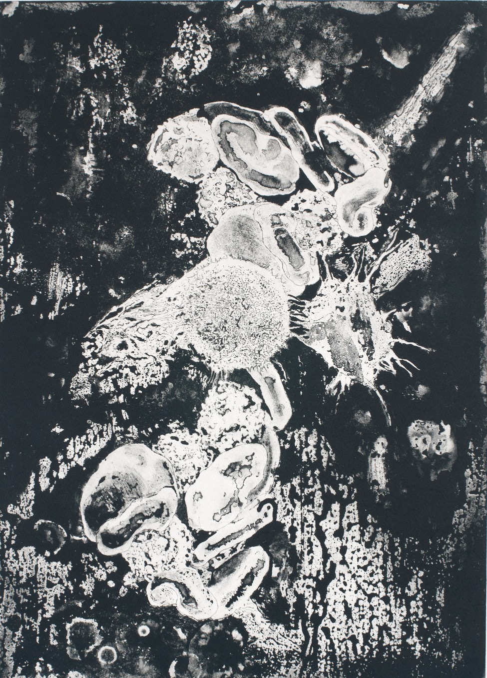 Contemporary Art | United Kingdom | Alice Freeman Artist