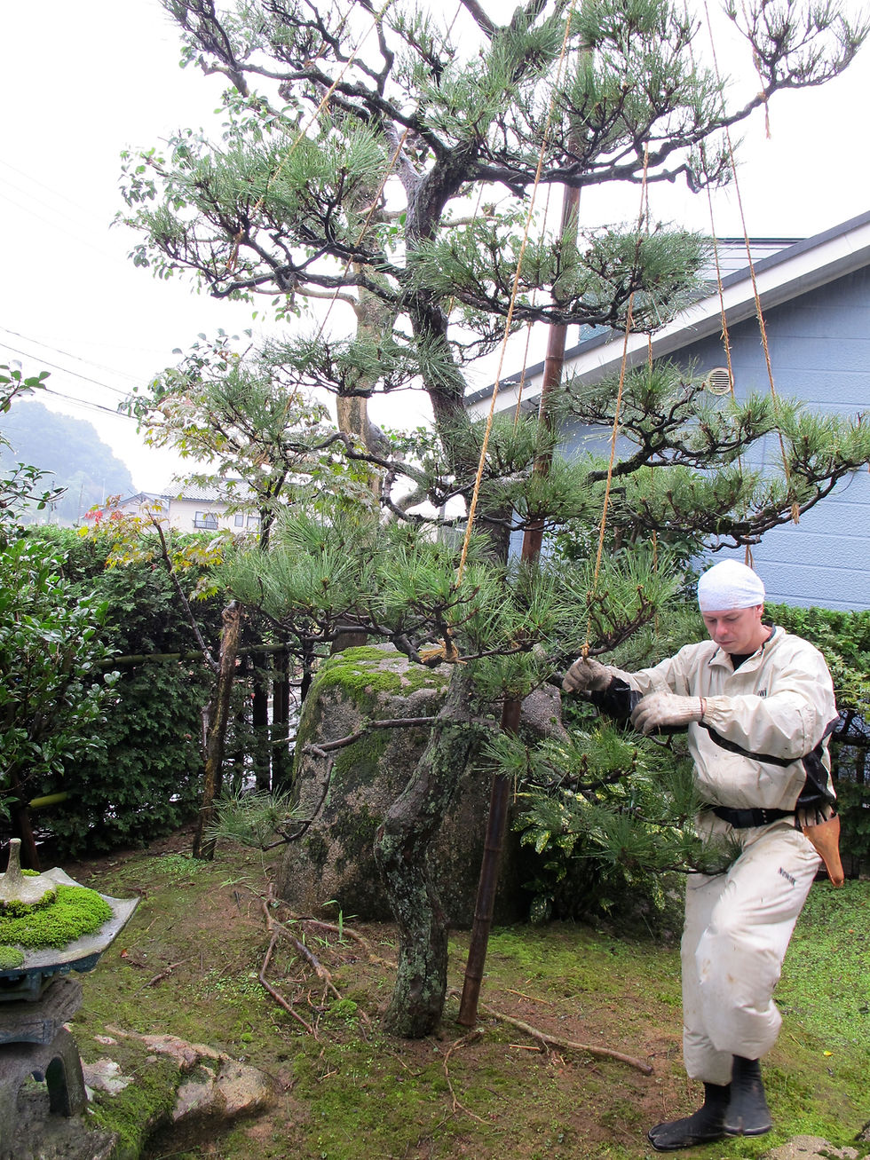 the main differences between Chinese and Japanese garden