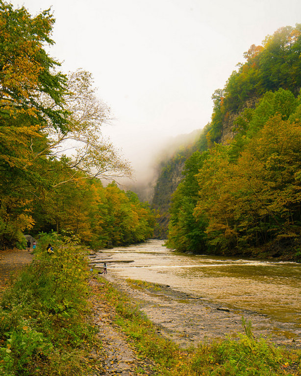 The Real Meaning of Shizen – Nature & Creativity