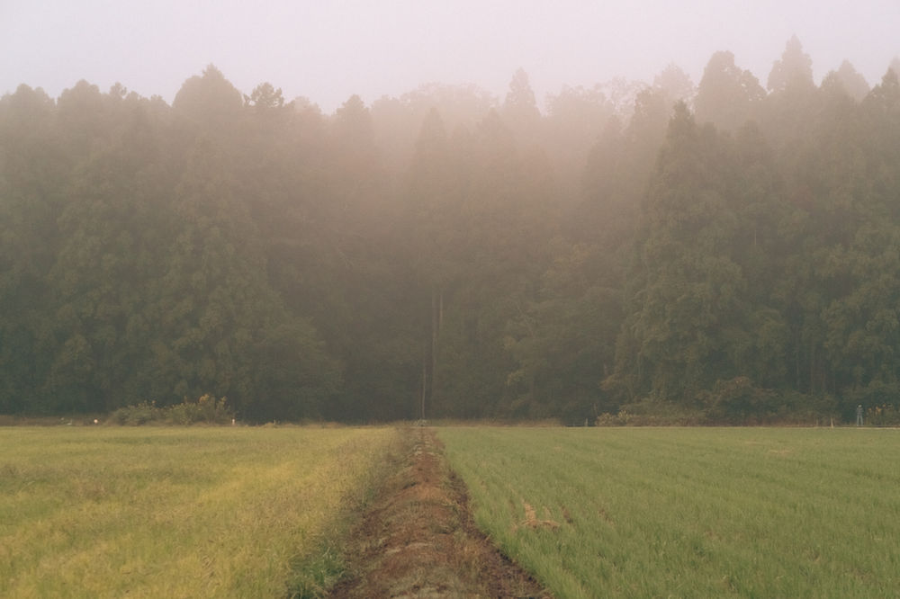 Exploring the Japanese Concept of Yugen | Mysterious Beauty