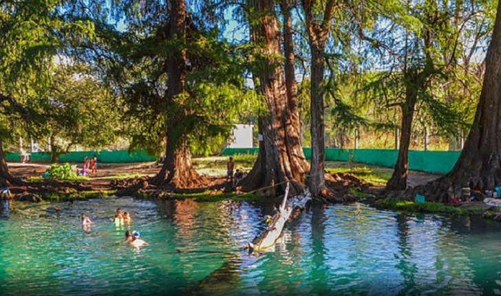 Los Ahuehuetes, oasis en la sierra de Puebla