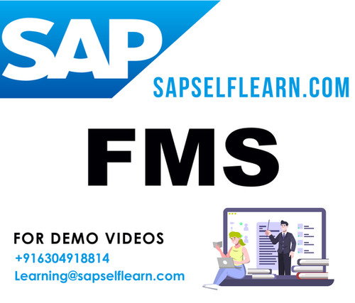 SAP FMS(FASHION MANAGEMENT STUDIO) | SAPSELFLEARN